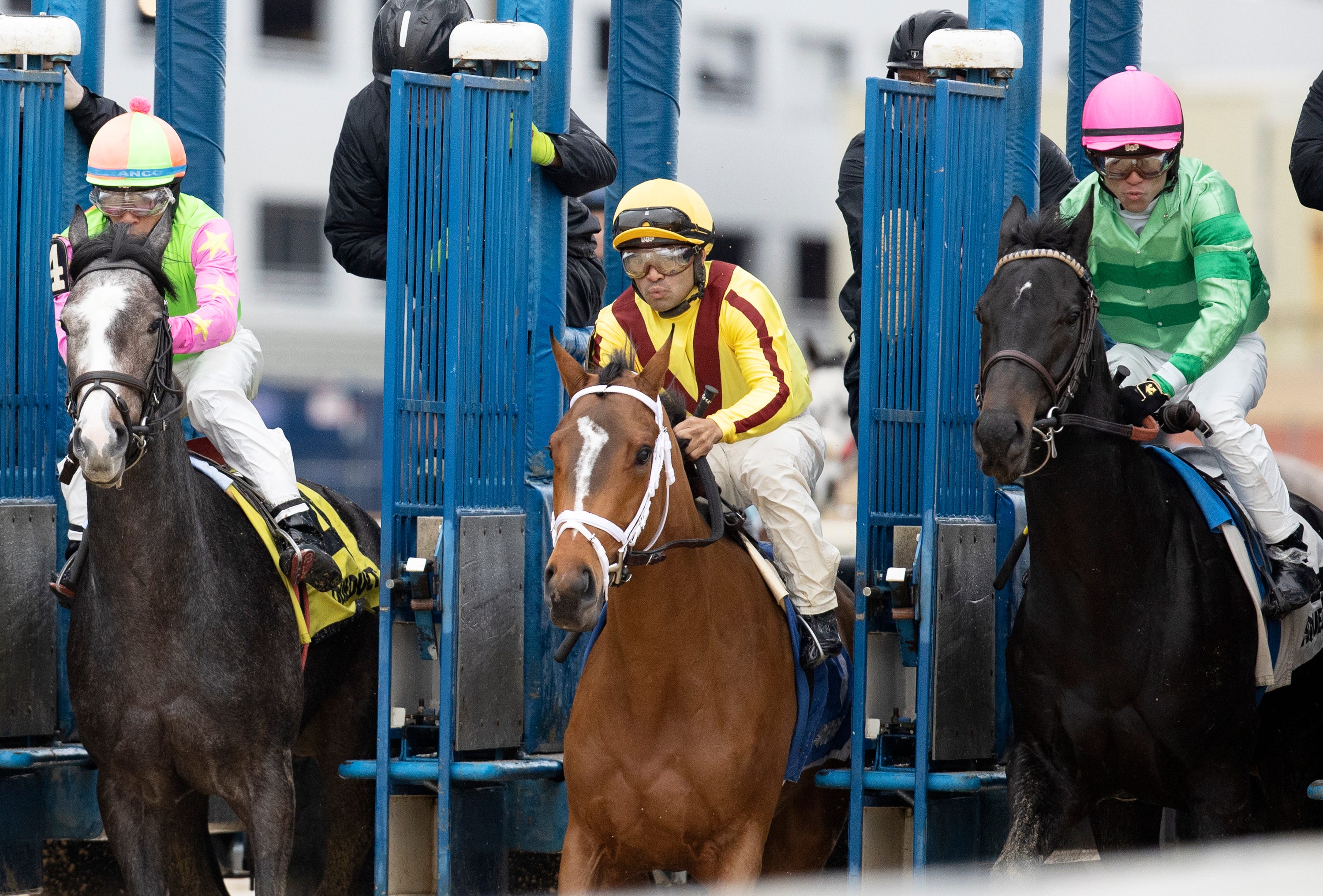 Dreaming of Julia's stellar run continues with Julia Shining